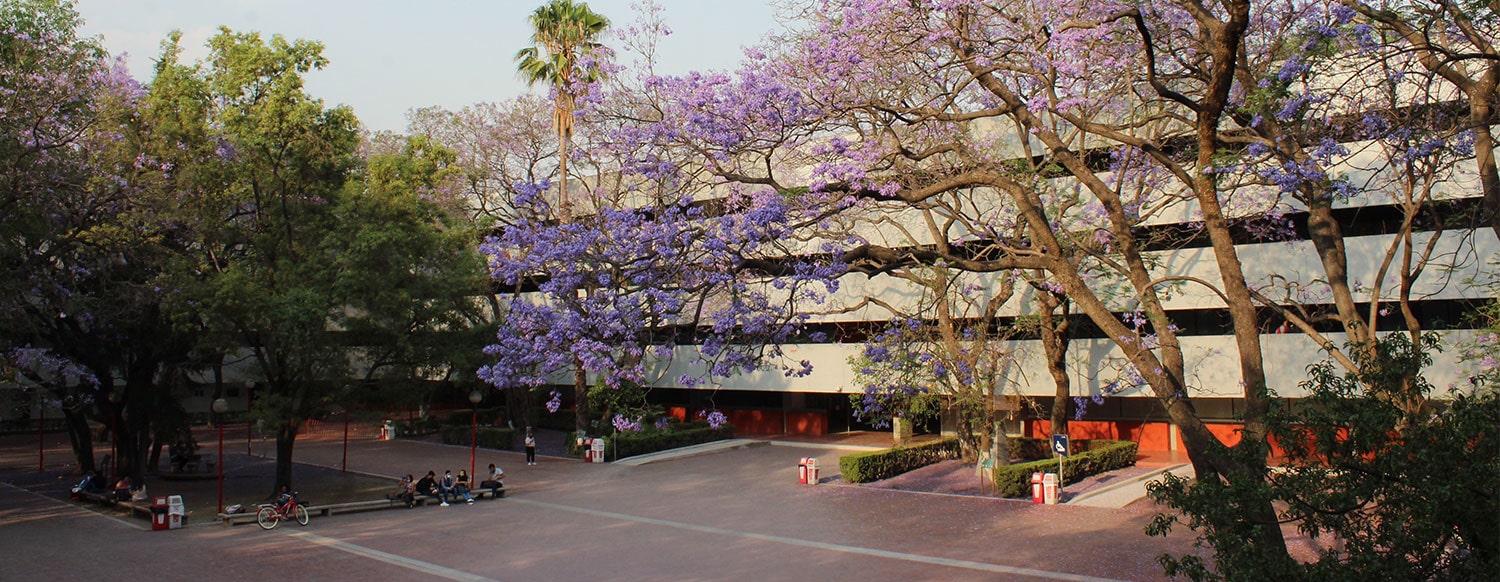 Congreso SMEQ – Congreso de la Sociedad Mexicana de Electroquímica
